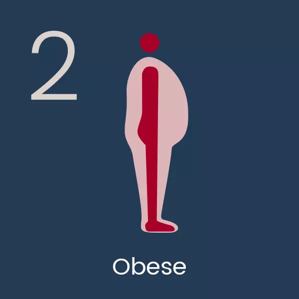 What is physique rating? Find out what bodytype you have | TANITA Europe
