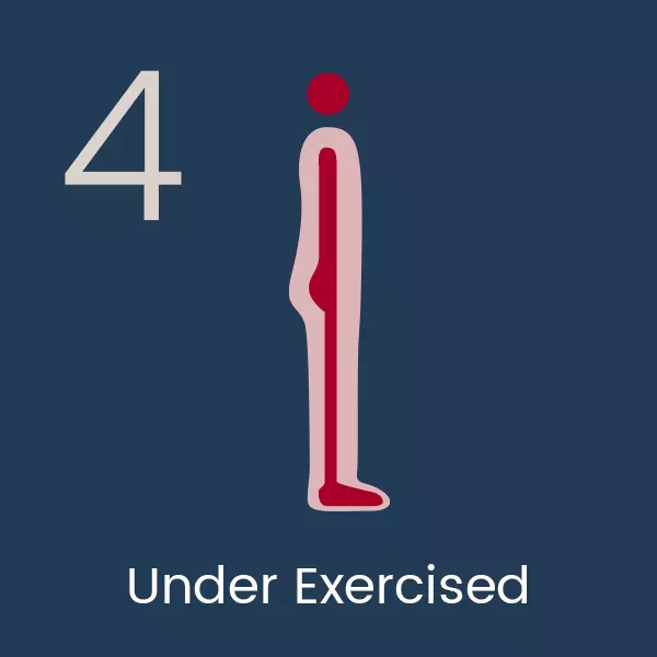 What is physique rating? Find out what bodytype you have | TANITA Europe